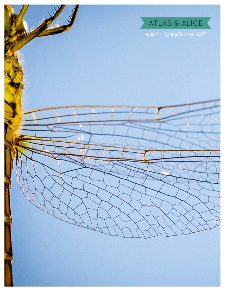 Atlas and Alice — Issue 9