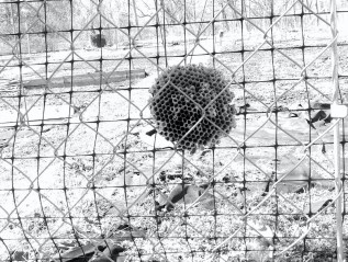 Atlas and Alice — Issue 18