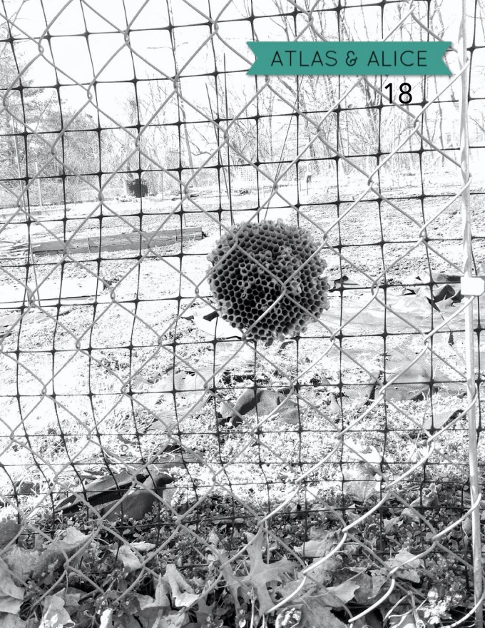 Atlas and Alice — Issue 18