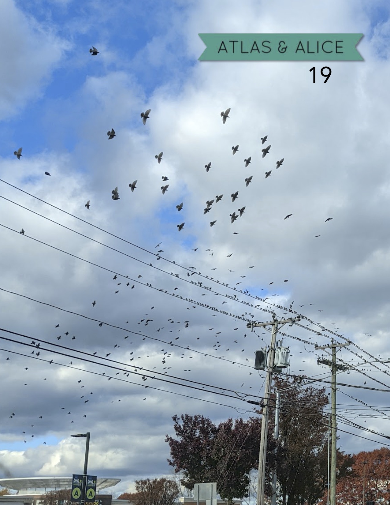 Atlas and Alice — Issue 19